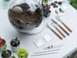 DIY Succulent Terrarium Guide: Stunning and Simple to Make